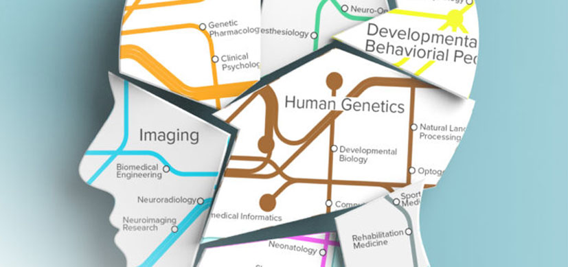 Reimagining How We Think About Our Brains - Research Horizons