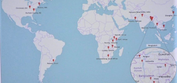 Early Data from Asia and Africa Supports Suspected Selenium Role in ...