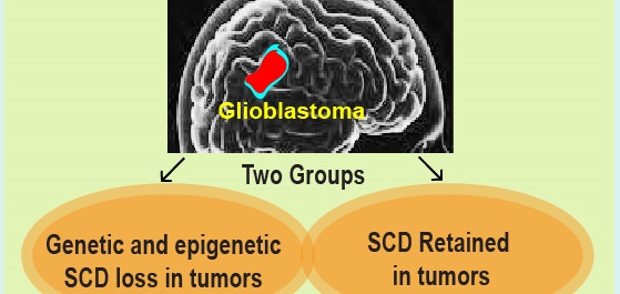 Brain Tumor Study Reveals Surprising Gene Deletion and Method to ...