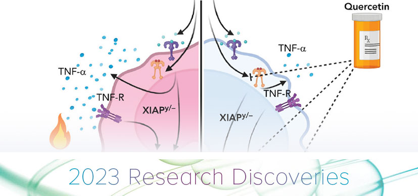 Quercetin Reduces XIAP Deficiency-Associated Hyperinflammation ...