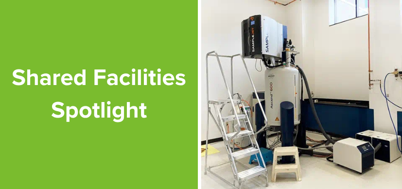 Shared Facilities Spotlight: Magnetoencephalography (MEG) Research ...